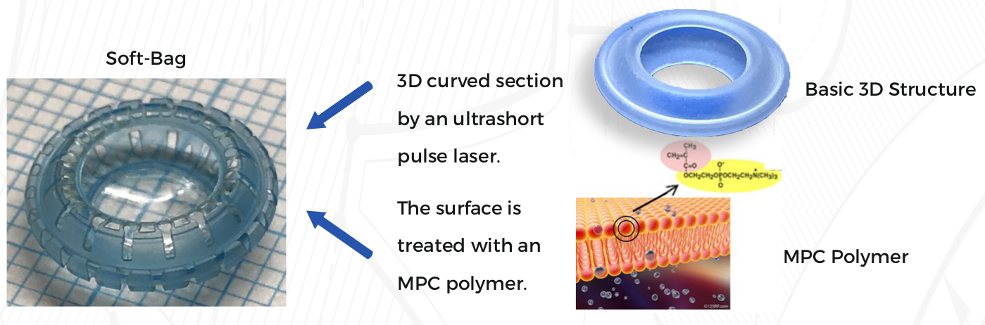 Accomodating IOL – Mirai Eye Inc.